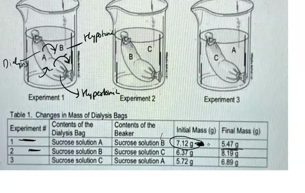 A solution of sucrose (Mw:342(g)/(l)) is concentrated using a tubular ...