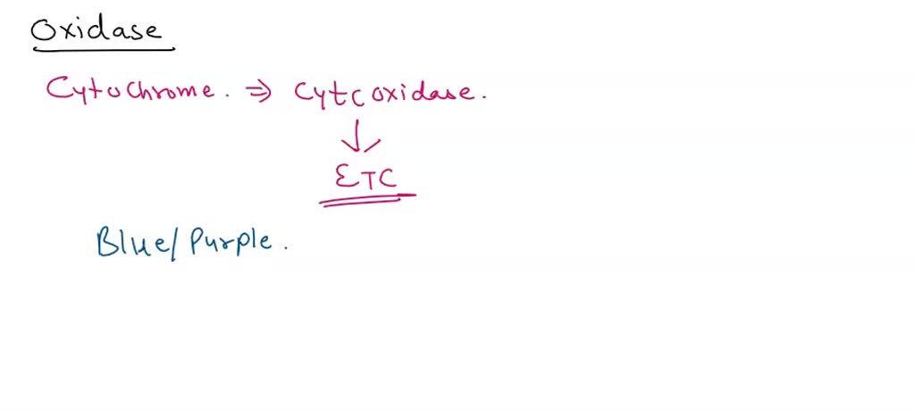 SOLVED: Based on the virtual lab "catalase test," which bacteria were ...