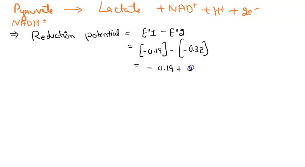 SOLVED: Consider the following reaction: Pyruvate + NADH + H+ âŸ ...