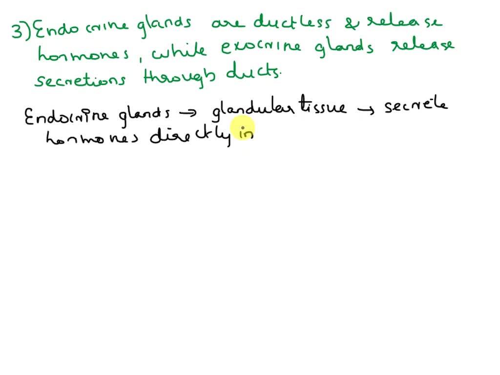 Solved Exocrine Glands O Are Only Unicellular In Structure Secrete Substances Onto Body