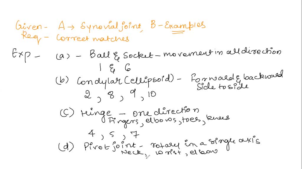 SOLVED: Match the types ol synovial joints column with the examples in ...