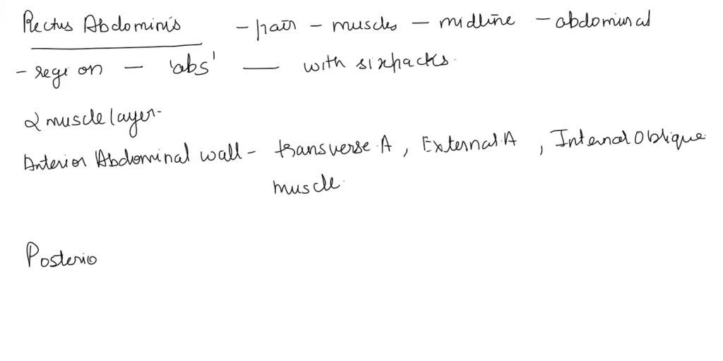 SOLVED: An athlete has really "ripped" abdominal muscles. What muscle(s ...