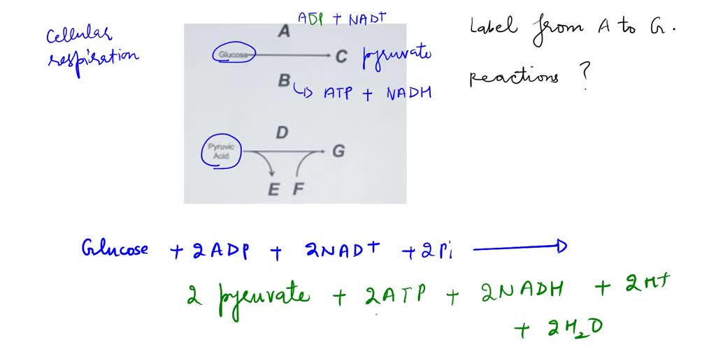 SOLVED: The major source of nutrients in surface waters of the open ...