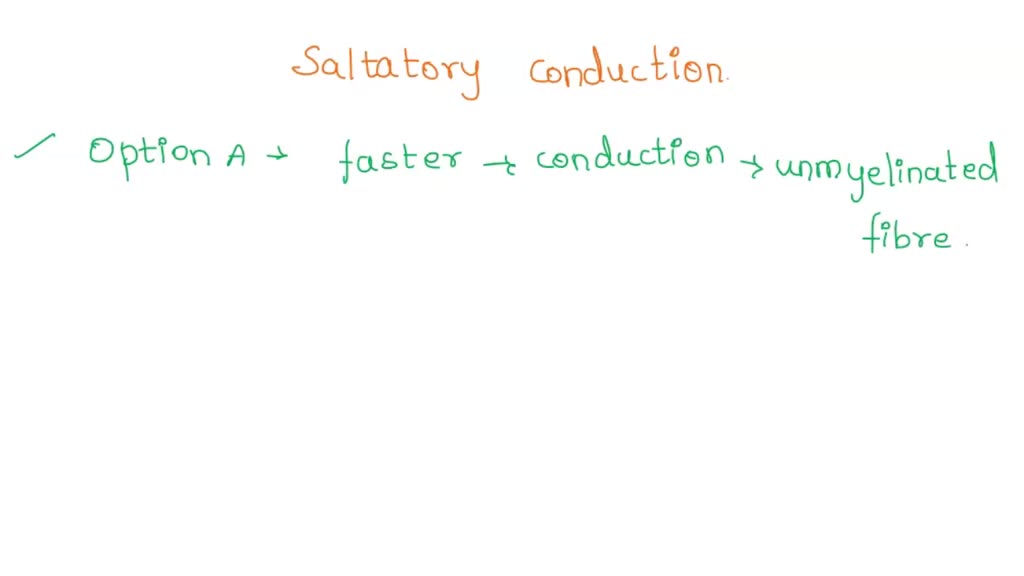 VIDEO solution: Saltatory conduction O occurs only if the myelin sheath ...