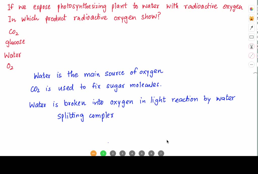 SOLVED: If you expose a photosynthesizing plant to water that contains ...
