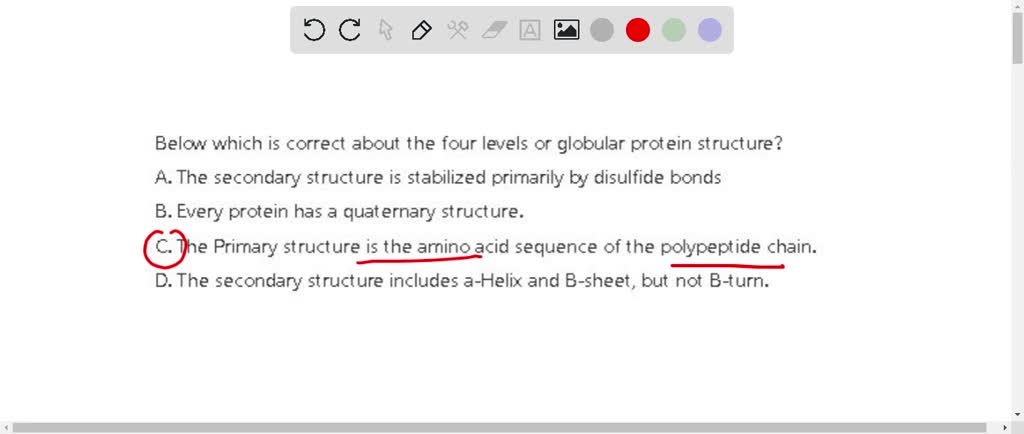 SOLVED: Below is what is correct about the four levels of globular ... SOLVED: Below is what is correct about the four levels of globular ...