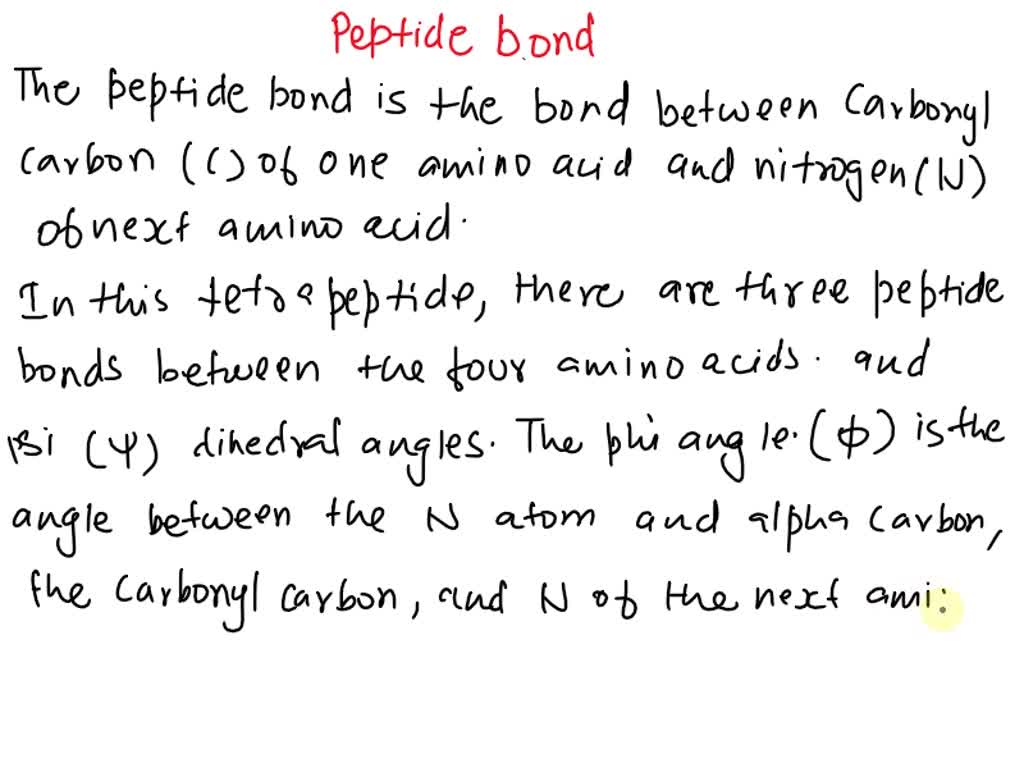 SOLVED: In the following tetrapeptide, label the peptide bond, as well ...
