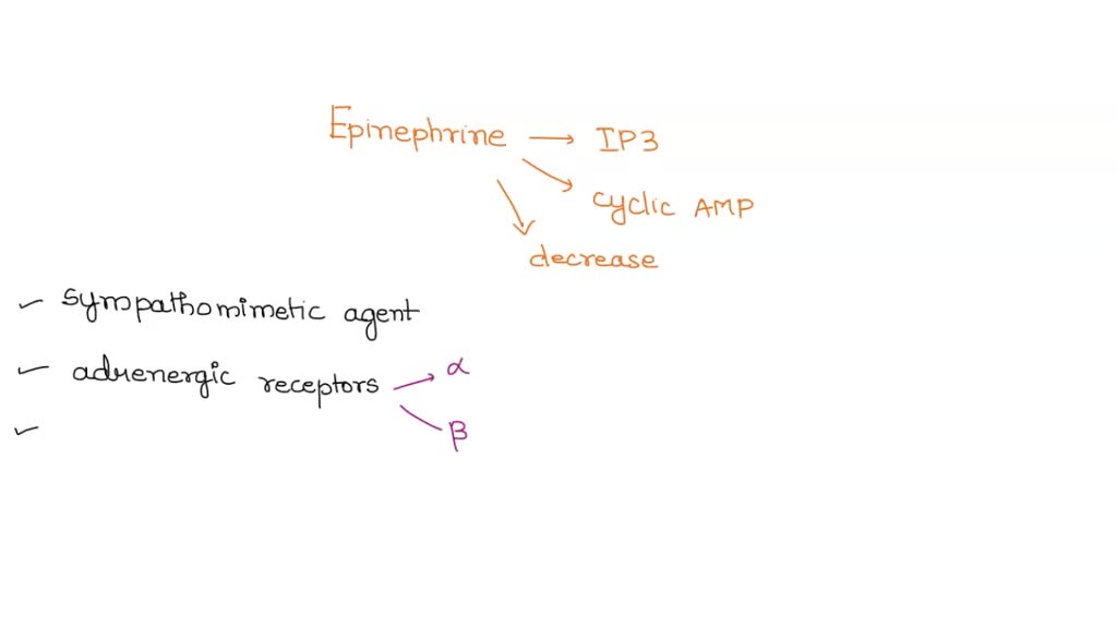 SOLVED: The hormone epinephrine binds to adrenergic receptors, of which ...