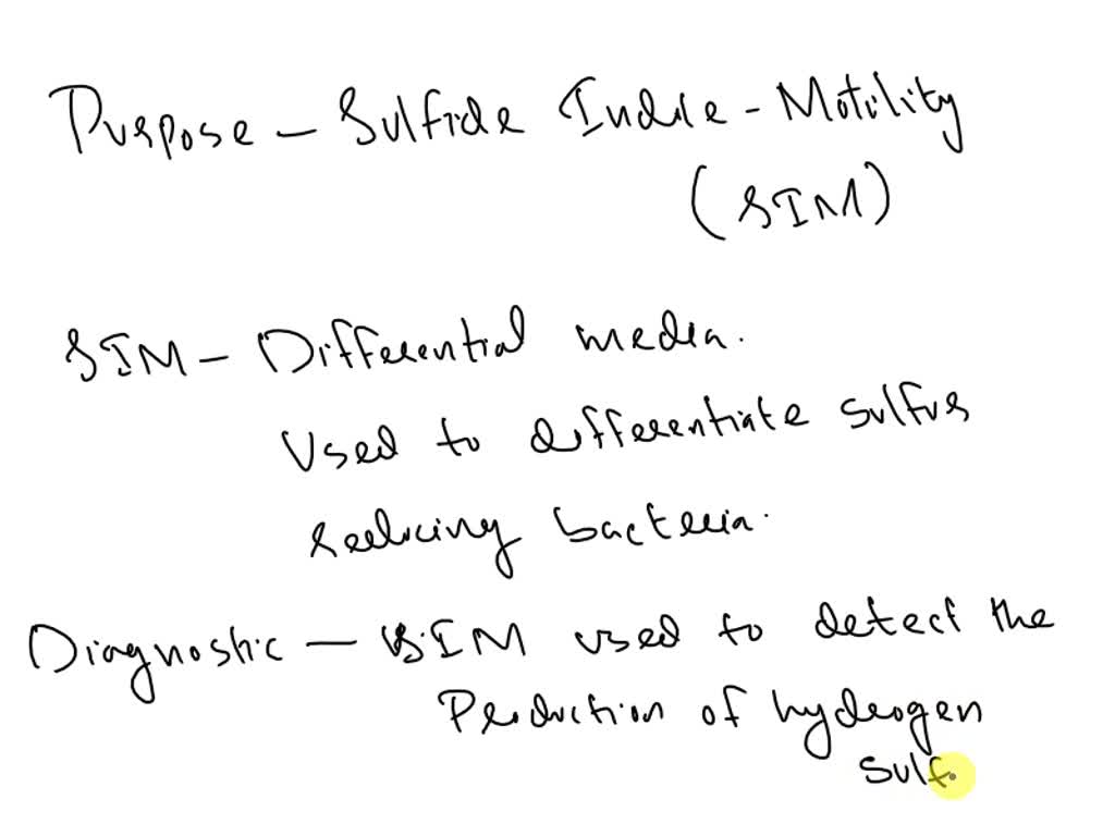 SOLVED: What is the purpose of the Sulfide-Indole-Motility medium in ...