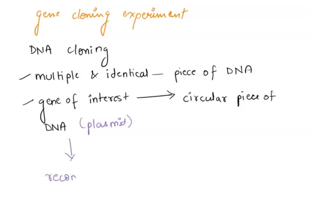 SOLVED: The experiment of biology: What are the main steps in the ...