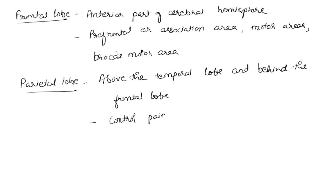 SOLVED: The CVCV syllable pattern typical in the vocalizations of a 5 ...