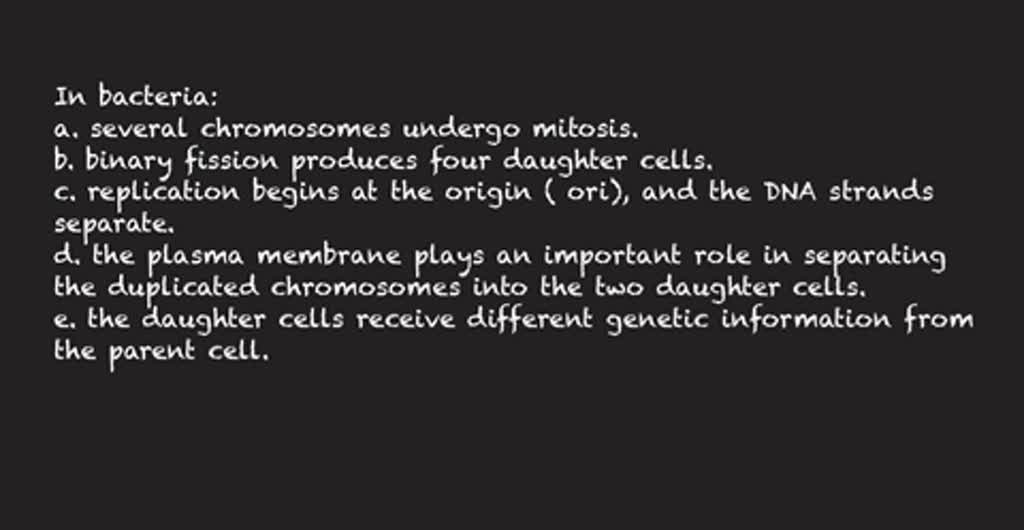 SOLVED: In bacteria: a. several chromosomes undergo mitosis. b. binary ...