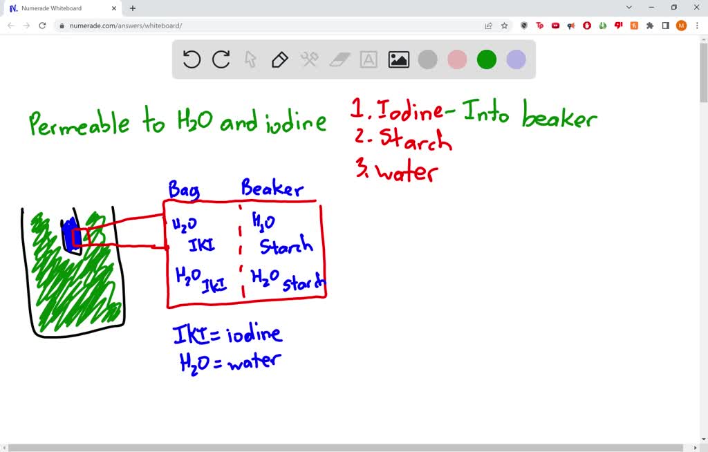 SOLVED: Part 2. Diffusion Across a Non-Living Membrane Use the ...