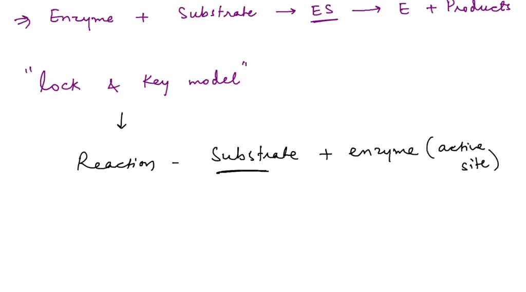 SOLVED A FREE BODY DIAGRAM FOR THE FIGURE BELOW MINE AND INCLUDE THE solved-a-free-body-diagram-for-the-figure-below-mine-and-include-the