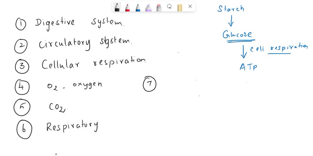 SOLVED: 'SBI3C Activity 10 Learning Task 10-2 Systems Working Together ...