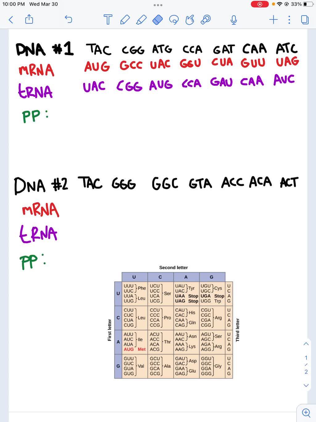 SOLVED: Text: GENE EXPRESSION - Breaking the code TRANSCRIPTION: For ...