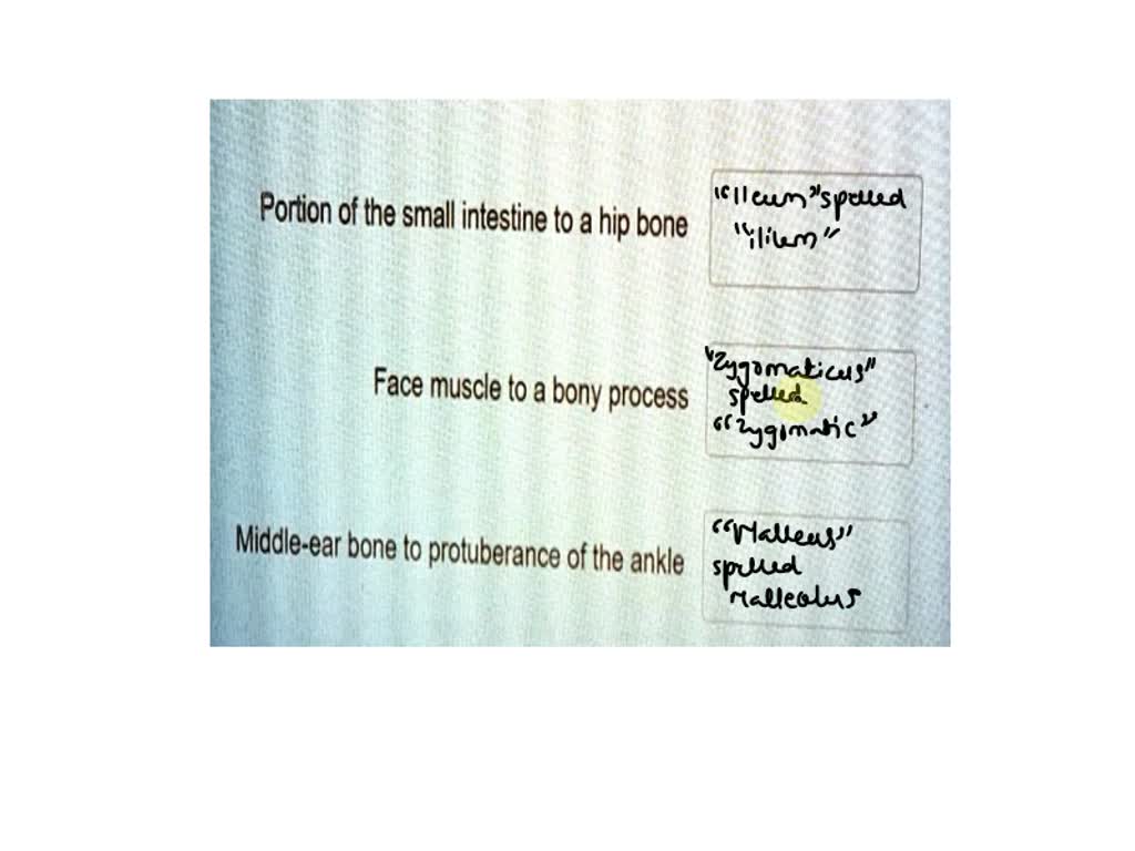 SOLVED: Watch each misspelled word with the structural change that its ...