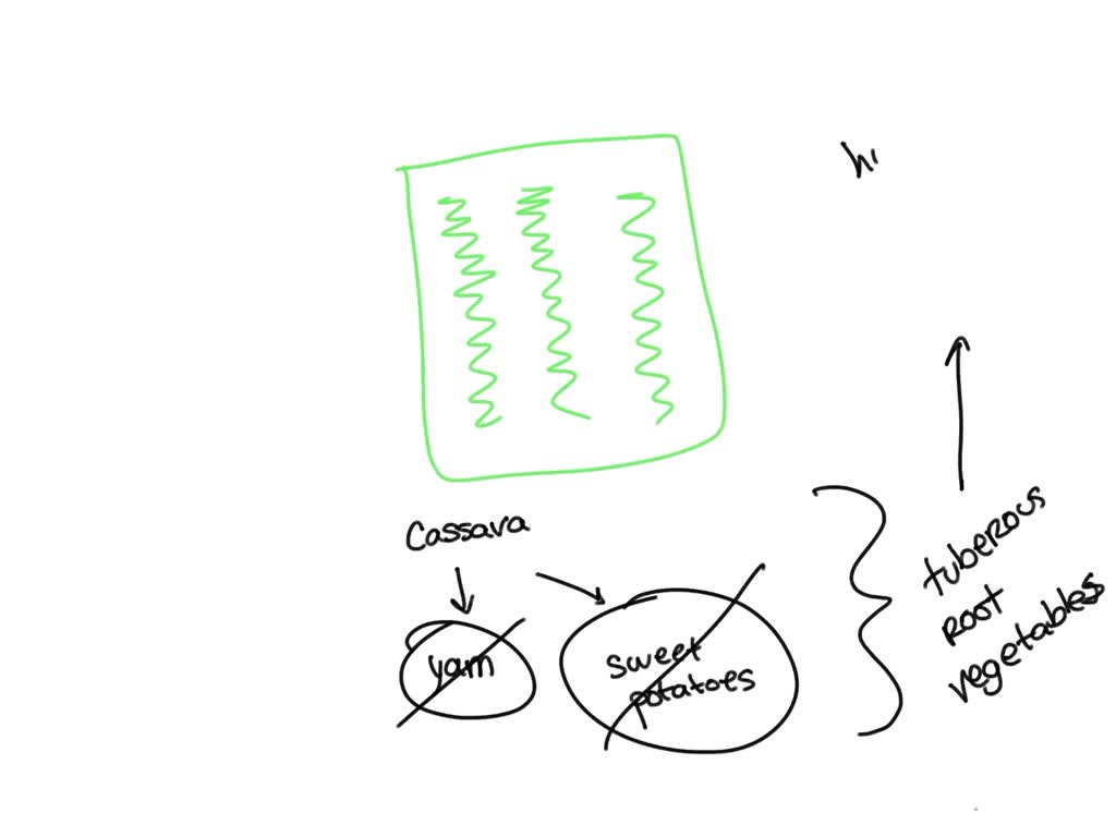 SOLVED: Explain why yam cannot follow cassava in a crop rotational plan SOLVED: Explain why yam cannot follow cassava in a crop rotational plan