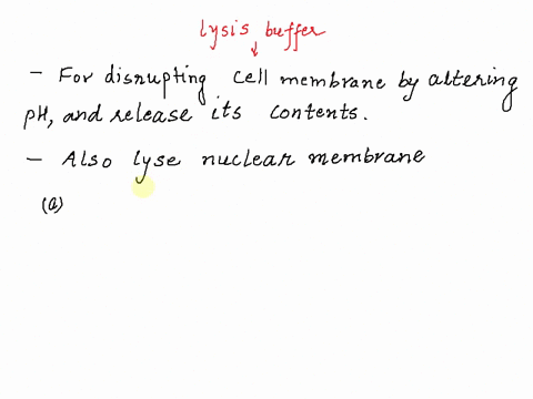 SOLVED: Lap report question (Lab 2. Introduction to cell structure ...