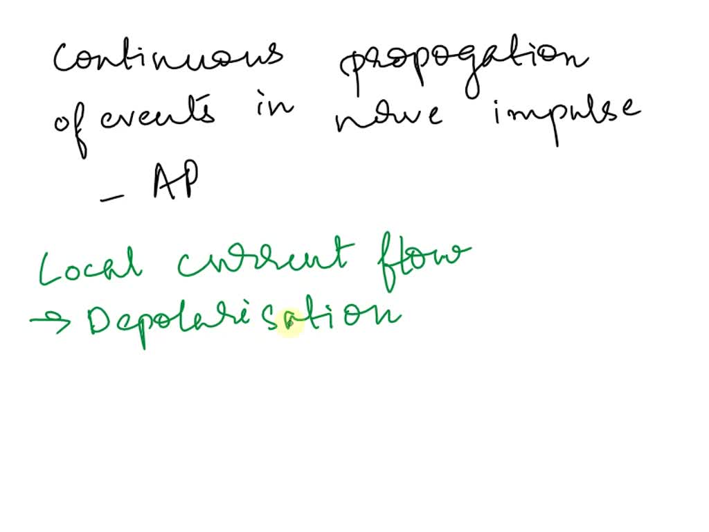 SOLVED: Part A - Events Involved in Continuous Propagation of an Action Potential The ...