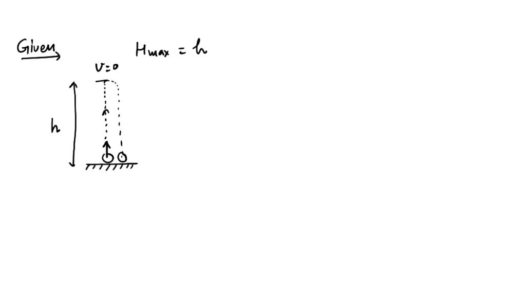 SOLVED: 'the velocity-time graph of a body thrown vertically upward ...
