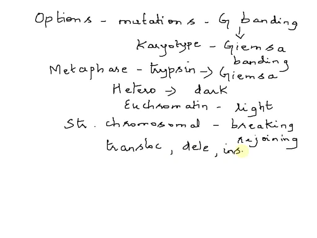 Solved Which Mutations Can Geneticists Identify With The G Banding 5998