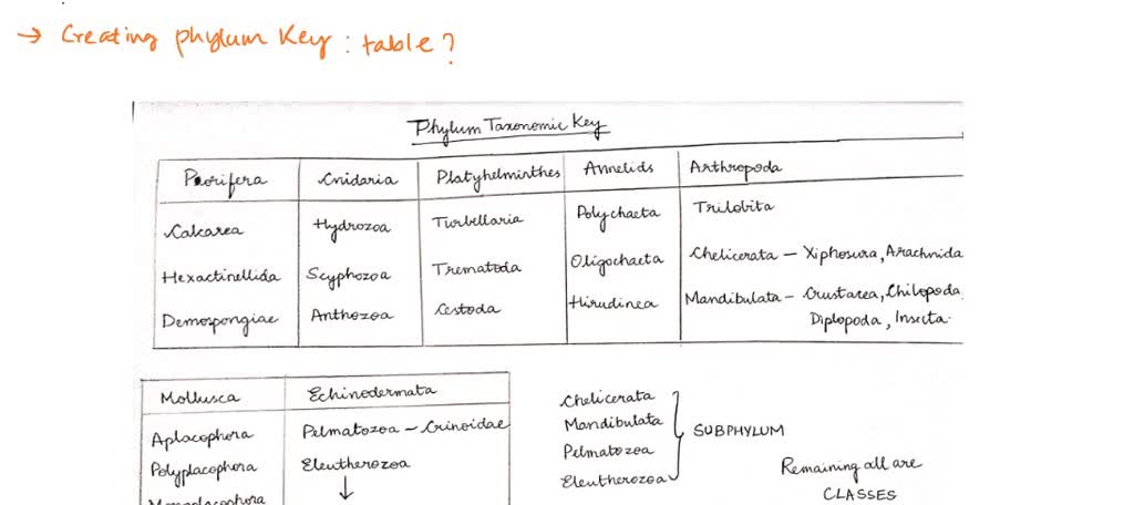 EXPERIMENT 1: CREATING A PHYLUM KEY Data Tables Table 2: Phylum ... EXPERIMENT 1: CREATING A PHYLUM KEY Data Tables Table 2: Phylum ...