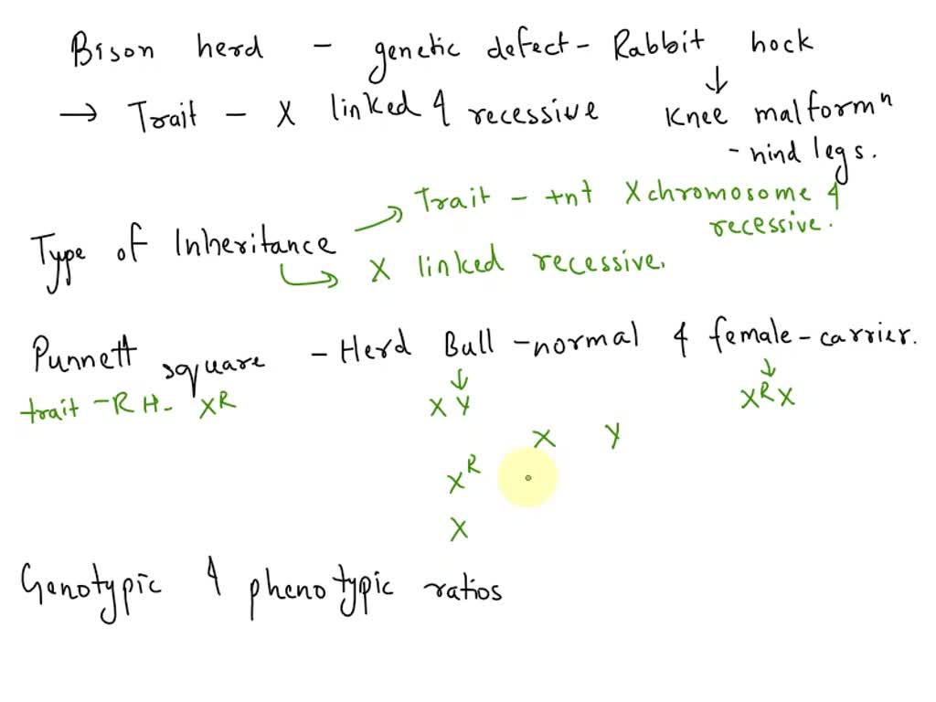 SOLVED: The bison herd on Konza Prairie has begun to show a genetic ...