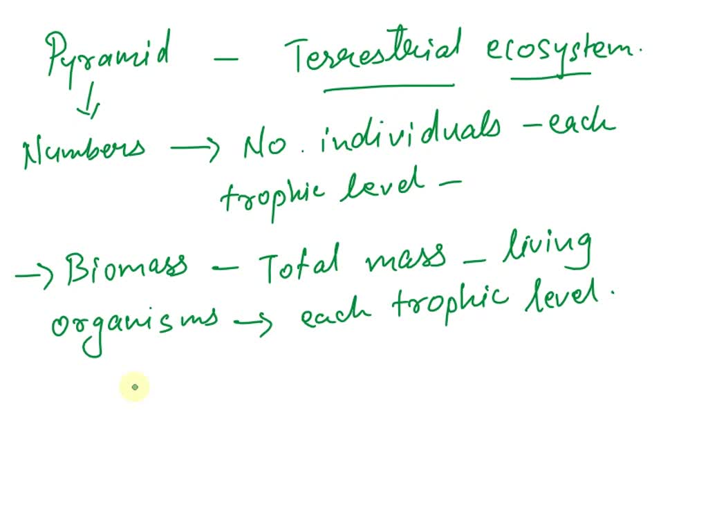 SOLVED: In terrestrial ecosystem the pyramids of number and biomass are ...
