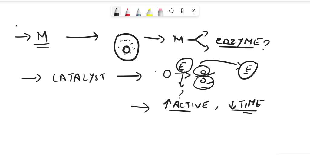 SOLVED: Maltase is an enzyme that hydrolyzes maltose to two glucose ...
