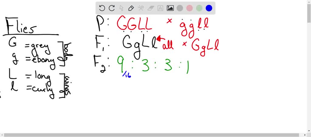 Predict the most likely cause of the F2 ratio obtained by the true ...