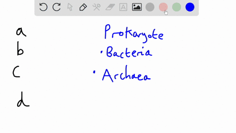 SOLVED: Chapter 3 Prokaryotic organisms which cells are prokaryotic ...