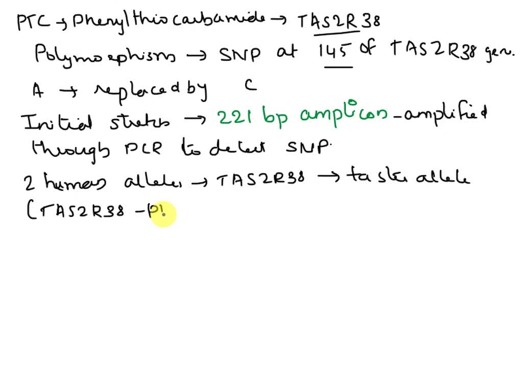 SOLVED: Human PTC taster vs. human PTC non-taster vs. 221 base pair ...