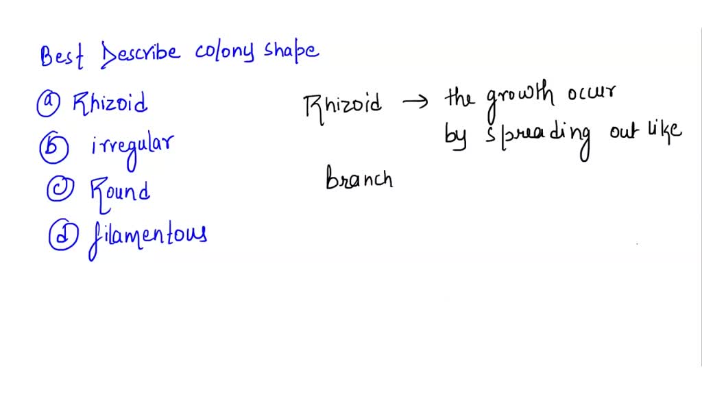 SOLVED: How would you best describe the form or colony shape for this ...