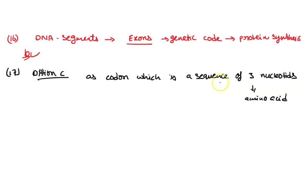 SOLVED: 11) What is ORF? All of the nucleotides of a gene that are transcribed into mRNA. b. The ...