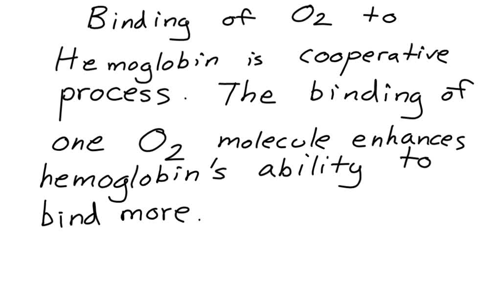 SOLVED: With respect to hemoglobin loading, please explain the relationship between binding of ...
