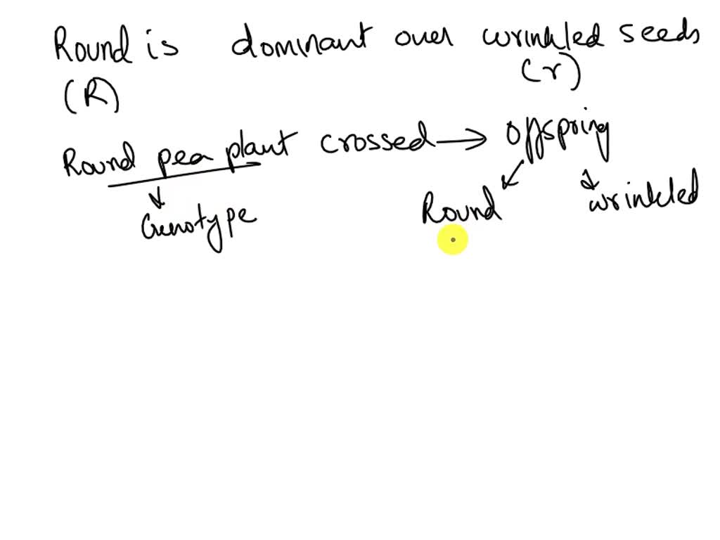 SOLVED: Round peas are produced much more often than wrinkled peas in a ...