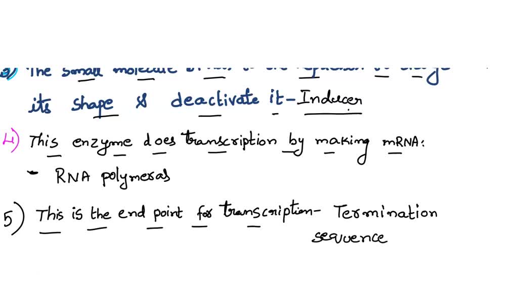 SOLVED: State if the following refers to transcription or translation ...