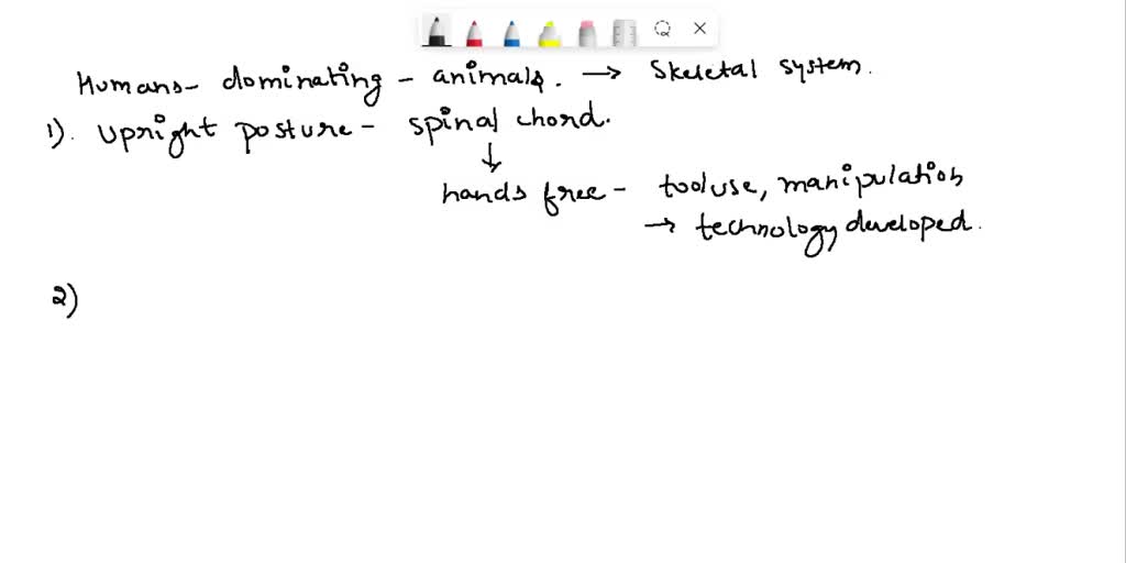 Human beings differ from other animals because we have a skeleton that ...