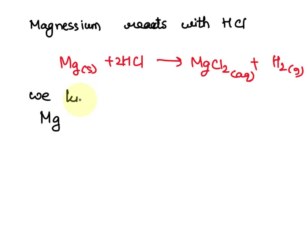 SOLVED: The reaction of magnesium metal with hydrochloric acid: How do ...
