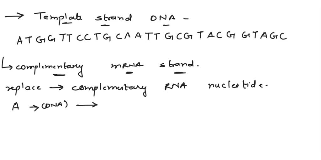 SOLVED: The correct complementary strand of mRNA for the given DNA ...