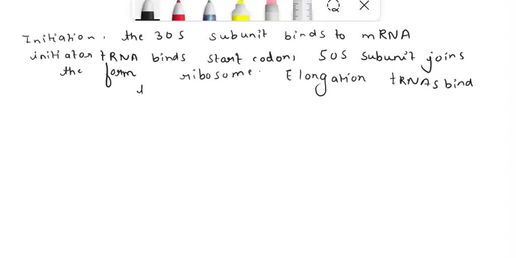 SOLVED: Explain in detail what occurs during the 1) initiation, 2 ...