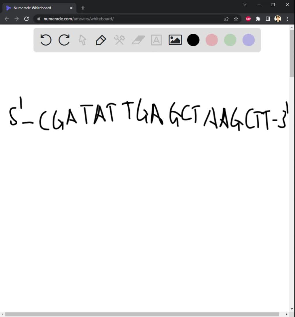 SOLVED: Write the complementary sequence for the following DNA sequence ... SOLVED: Write the complementary sequence for the following DNA sequence ...