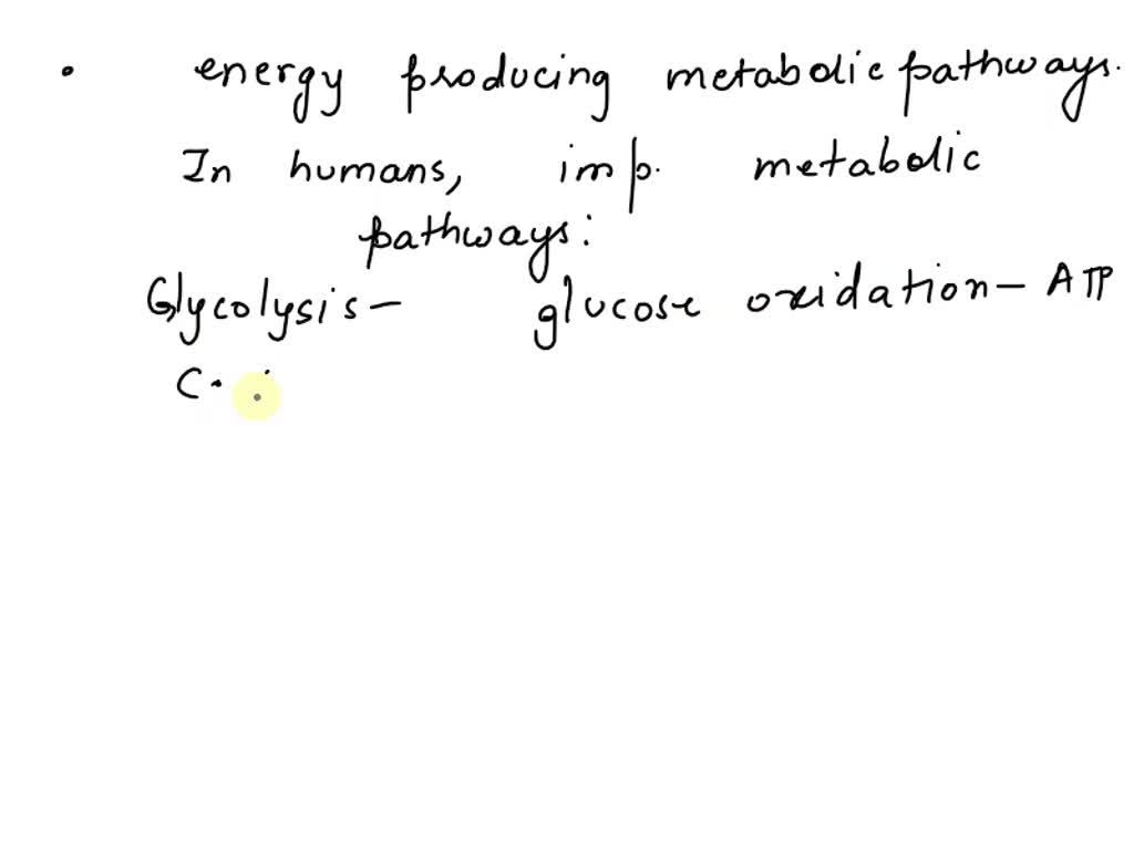 SOLVED: Many energy-producing metabolic pathways involve a sequence of ... SOLVED: Many energy-producing metabolic pathways involve a sequence of ...