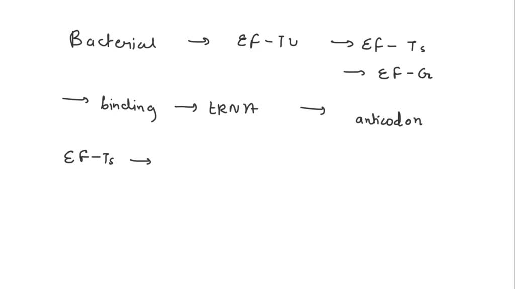 SOLVED: Give the elongation factors used in bacterial translation, and ...
