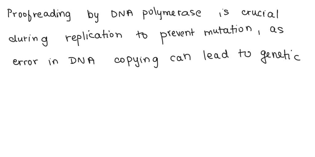 A termination segment is necessary to prevent copying from DNA ...