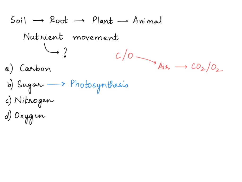 SOLVED: 'a student drew the following flowchart to show the movement of ...