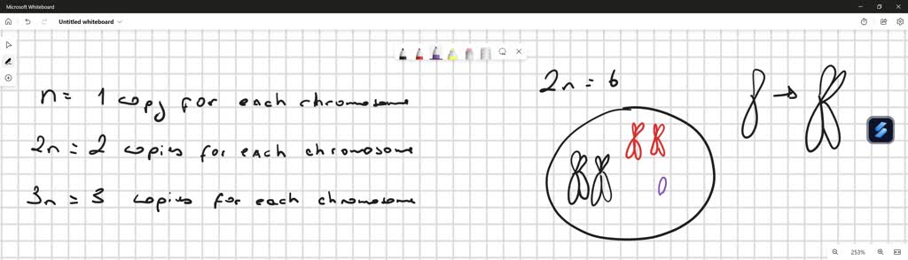SOLVED: Draw replicated chromosomes in a cell that is 2n=6 versus one ...