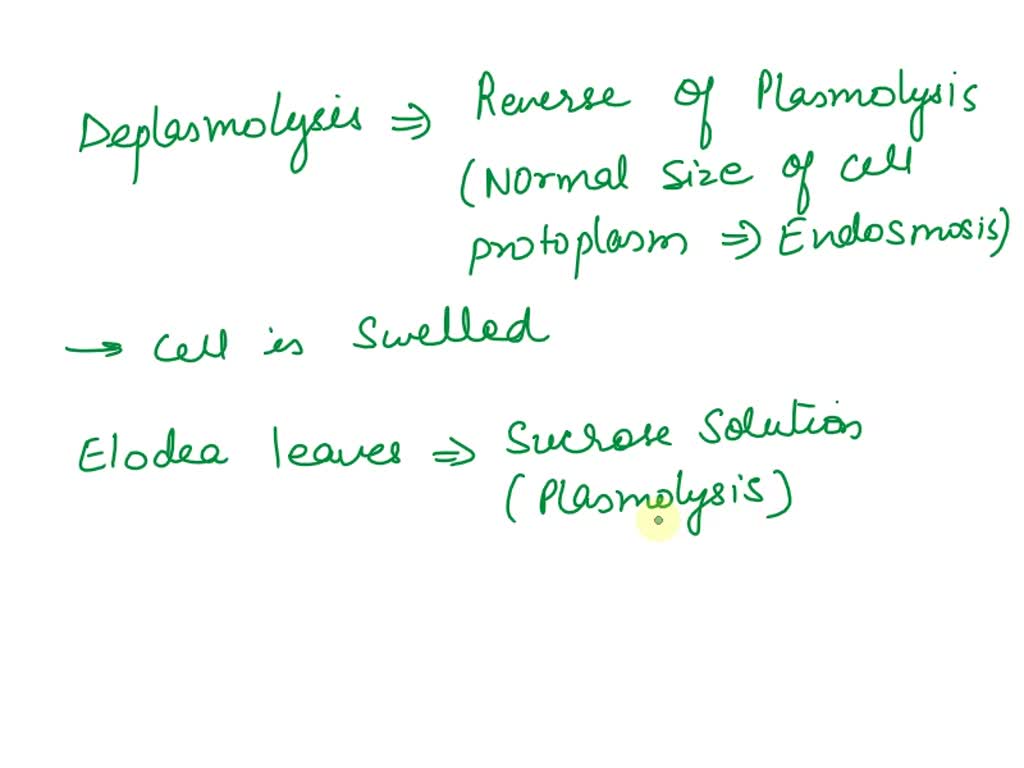 SOLVED: Deplasmolysis was observed in Elodea leaves. Please explain in ...