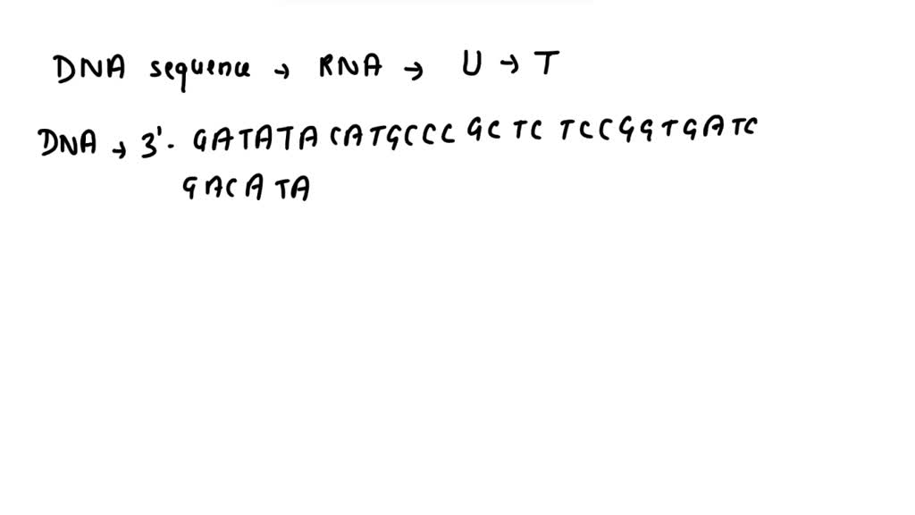 SOLVED: Perform the Central Dogma and illustrate protein folding: Based on the DNA sequence ...